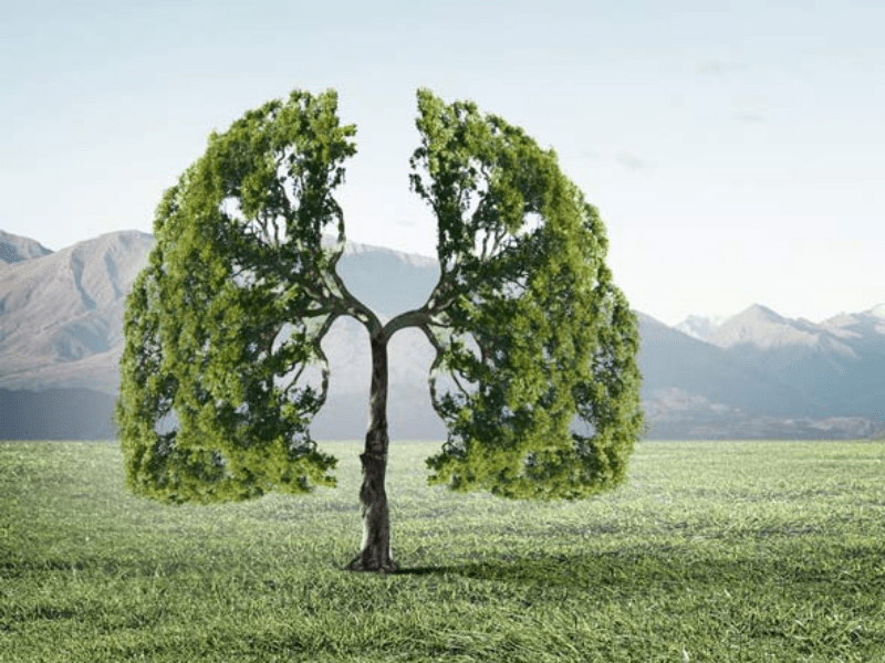How to get all that gunk out of your lungs and improve respiration ...