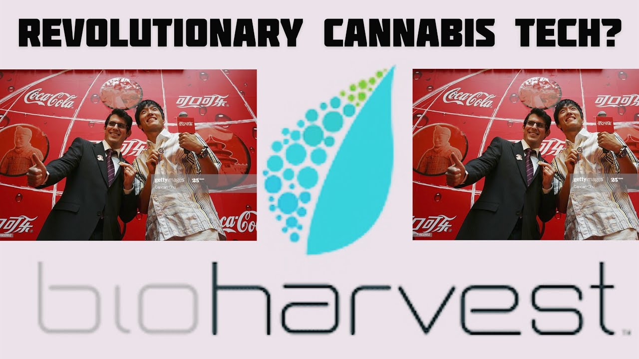 Former Coca Cola Executive is Now the CEO of BioHarvest Sciences ...