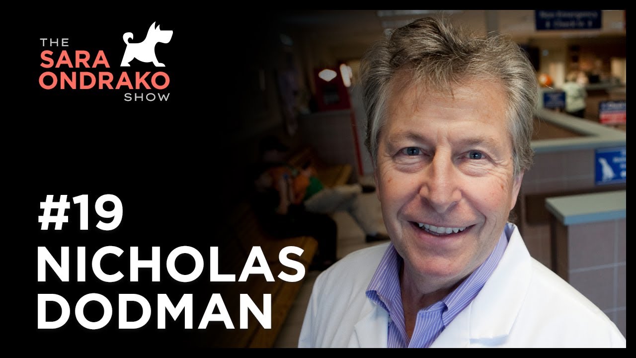 Separation Anxiety & Research - Dr. Nicholas Dodman - MED PODD