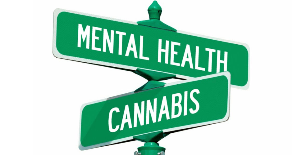 How Cannabis Helps People Cope With Mental Health Illnesses: A study ...