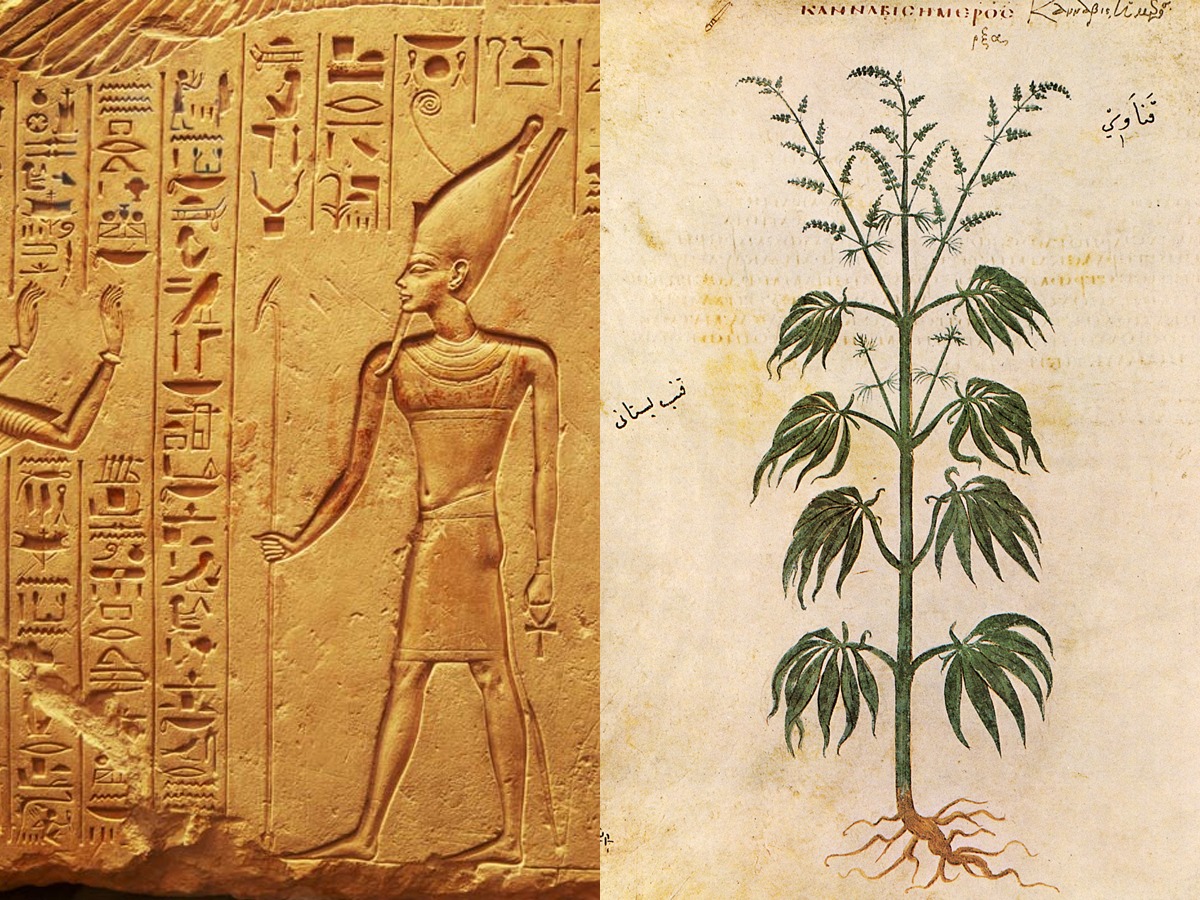 Cannabis in Ancient Egypt: Myth or Fact? - MED PODD